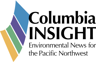 Pacific lamprey have reached an impasse - Columbia Insight